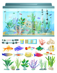 Cartoon aquarium decoration underwater plants Vector Image