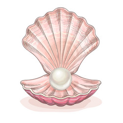 Clam Pearl Jewel Vector Images (over 200)