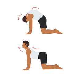 Man doing yoga chair cat cow stretch exercise Vector Image
