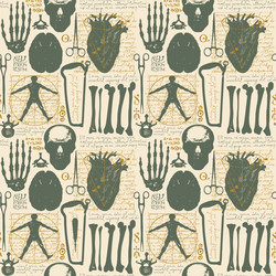 Anatomy seamless pattern with human organs Vector Image
