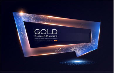 Elegant shining banner with glitter light effect Vector Image