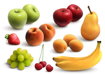 Cutted fruits realistic set Royalty Free Vector Image