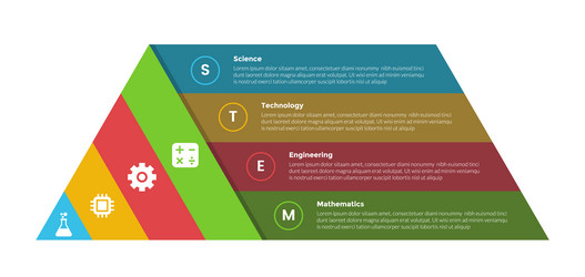 Stem education infographics template diagram Vector Image