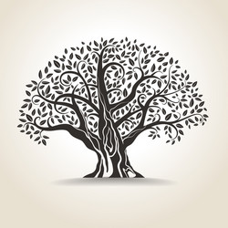 Olive Tree Vector Images (over 11,000)