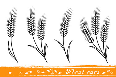 Wheat Vector Images (over 110,000)
