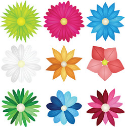 Colourful flowers Royalty Free Vector Image - VectorStock