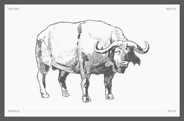 Buffalo Outline Vector Images (over 2,700)