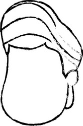 Boy Face Outline Vector Images (over 10,000)