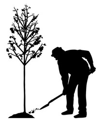 Man planting a tree Royalty Free Vector Image - VectorStock