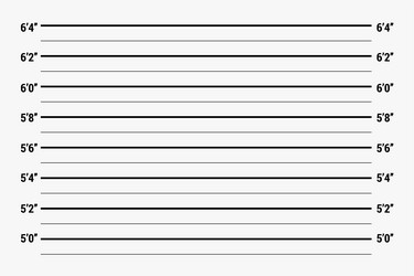 Height Chart in Jail Vector Images (over 140)