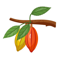 Cocoa fruit icon cartoon cacao bean Royalty Free Vector