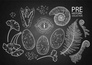 Chalk Footprints Vector Images (over 140)