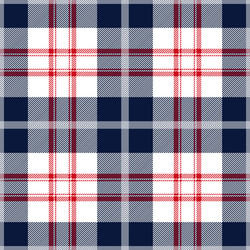 Checkered gingham plaid fabric seamless pattern Vector Image