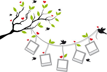 Family tree with picture frames Royalty Free Vector Image