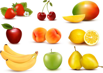 Fresh fruit Royalty Free Vector Image - VectorStock