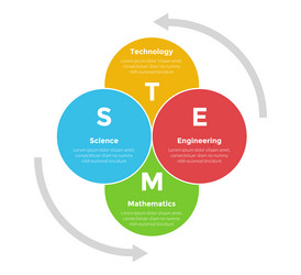 Stem education infographics template diagram Vector Image