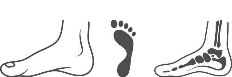 Human Footprint Vector Images (over 12,000)