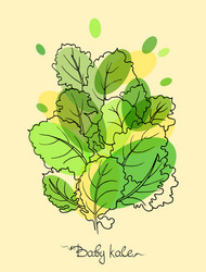 Kale Plant Vector Images (over 1,300)