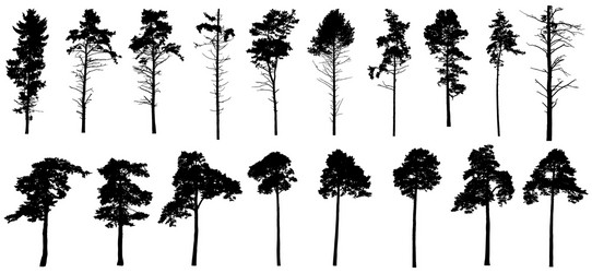 Tall Pine Tree Silhouette Clip Art