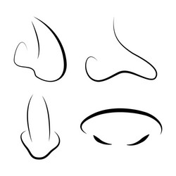 Nose Outline Vector Images (over 11,000)