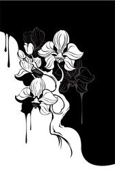 Monochrome Vector Images (over 650,000)