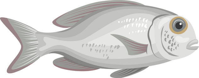 Bream Vector Images (over 920)