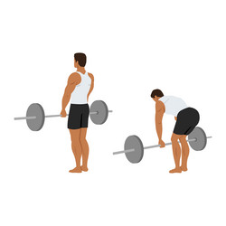 Man doing dumbbell deadlift exercise flat Vector Image