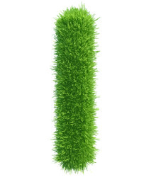 Capital letter f from grass on white Royalty Free Vector