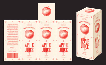 Mockup template of cardboard packaging box Vector Image