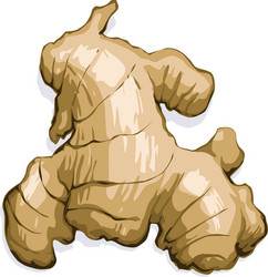 Ginger cartoon with funny face on white background