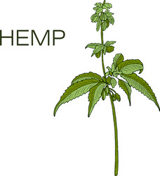 Hemp Vector Images (over 43,000)