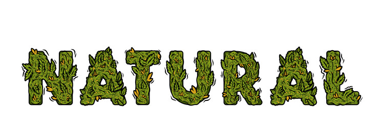 Weed Font Vector Images (over 800)