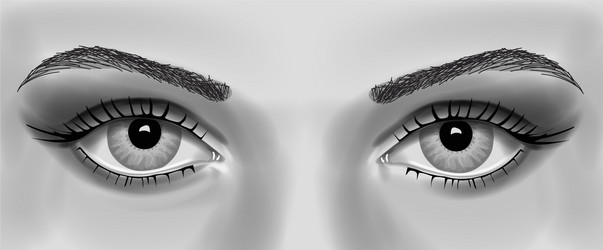 Realistic Eye Vector Images (over 8,500)