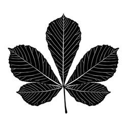 Chestnut Leaf Vector Images (over 6,900)