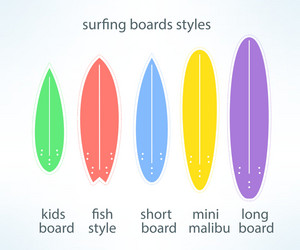 Simple surfboards types set infographics made Vector Image