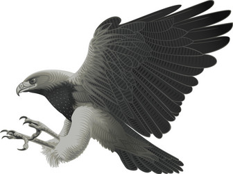 Cartoon eagle posing Royalty Free Vector Image