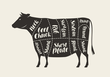 Cut of beef butcher diagram and scheme cow Vector Image