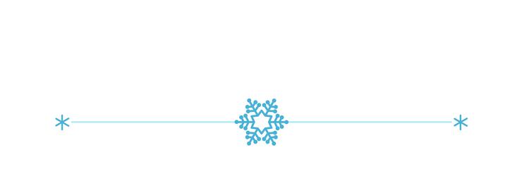 Divider with aesthetic snowflake christmas winter Vector Image
