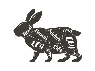 Rabbit black scheme butcher cut meat diagram Vector Image