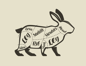 Engraving rabbit retro Royalty Free Vector Image