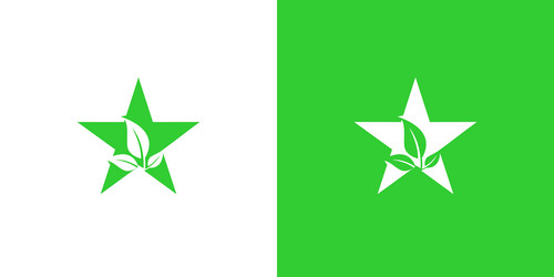 Unique and elegant green star logo design Vector Image
