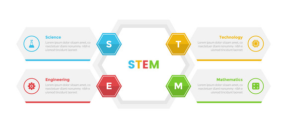 Stem education infographics template diagram with Vector Image