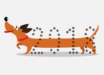 Go Through Vector Images (over 290)