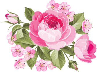 Blooming rose Royalty Free Vector Image - VectorStock