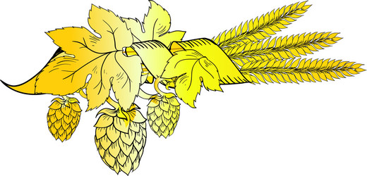 Hops Vector Images (over 52,000)