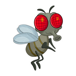 Fly cartoon character design isolated on white Vector Image