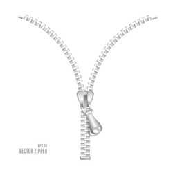 Realistic golden zipper Royalty Free Vector Image