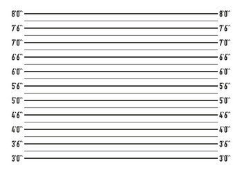 Police lineup mugshot background shot up photo Vector Image