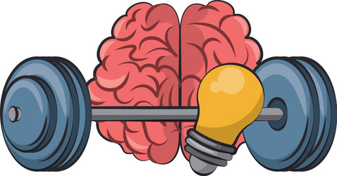 Human brain intelligence and creativity cartoons Vector Image