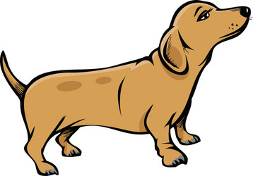 Weiner Dog Vector Images (over 310)